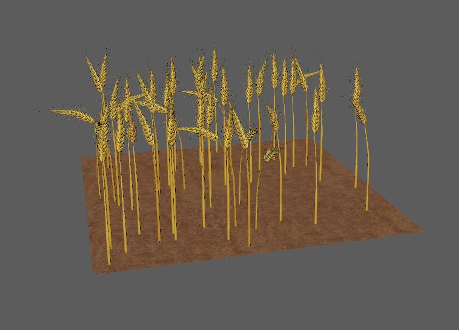 3D Model Wheat Field - TurboSquid 1212720