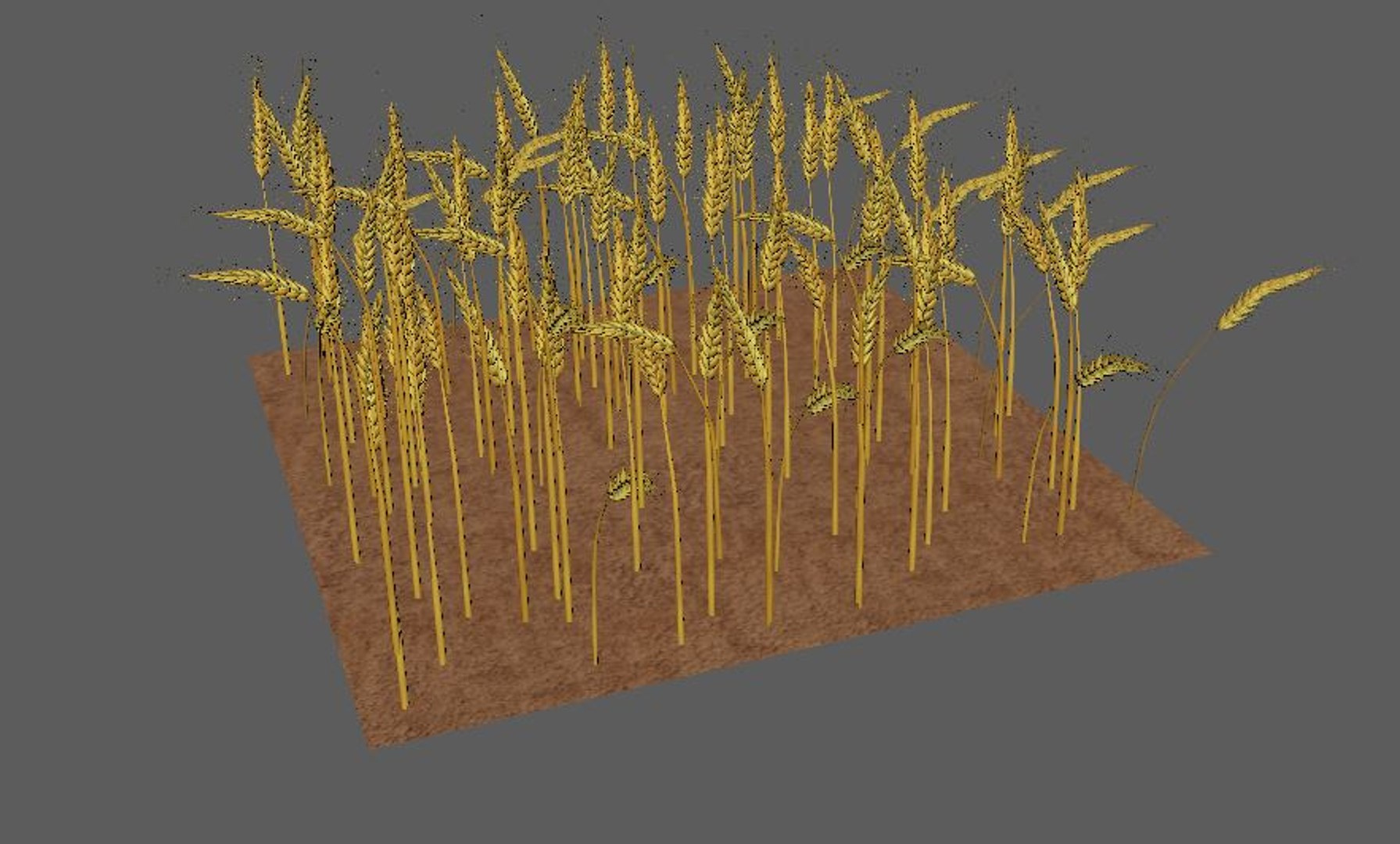 3D Model Wheat Field - TurboSquid 1212720