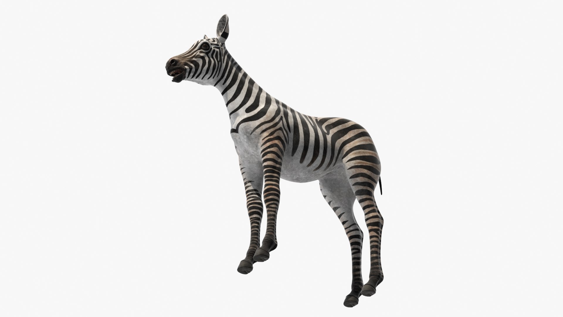 3D Zebra Foal For 3D Print - TurboSquid 2372404