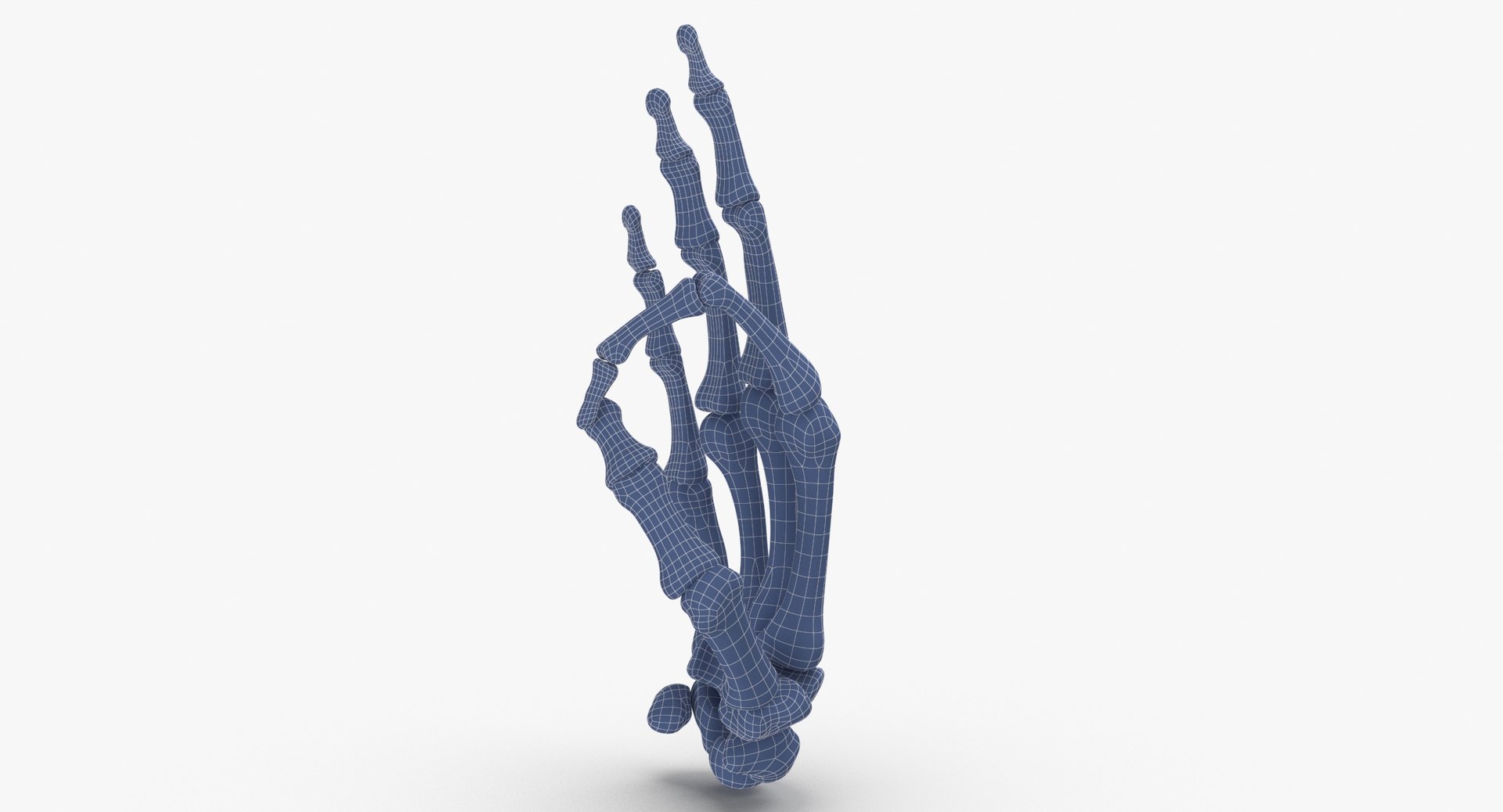 3D Human Hand Bones Hole Model - TurboSquid 1608389