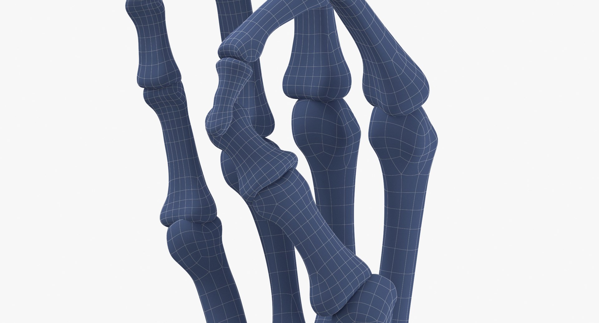 3D Human Hand Bones Hole Model - TurboSquid 1608389