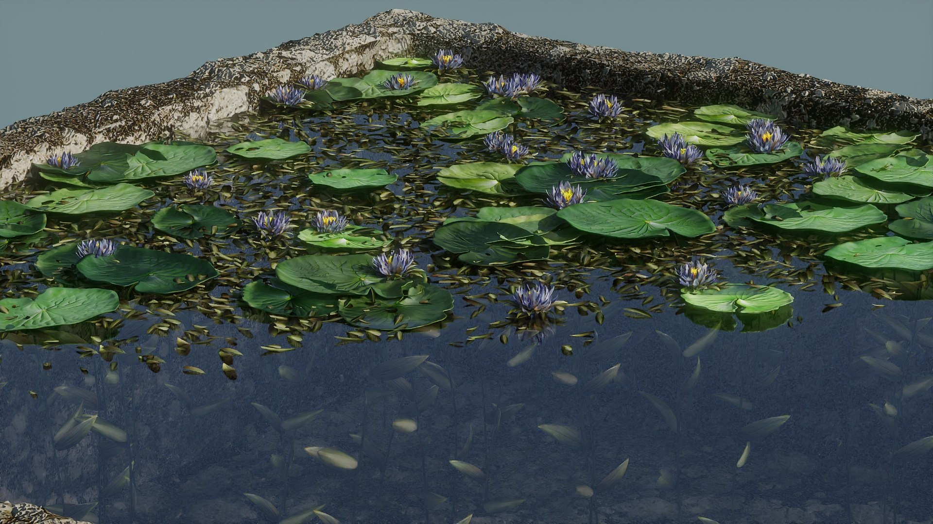 Lily Pad And Flower Particles - Complete System 3D - TurboSquid 2203913