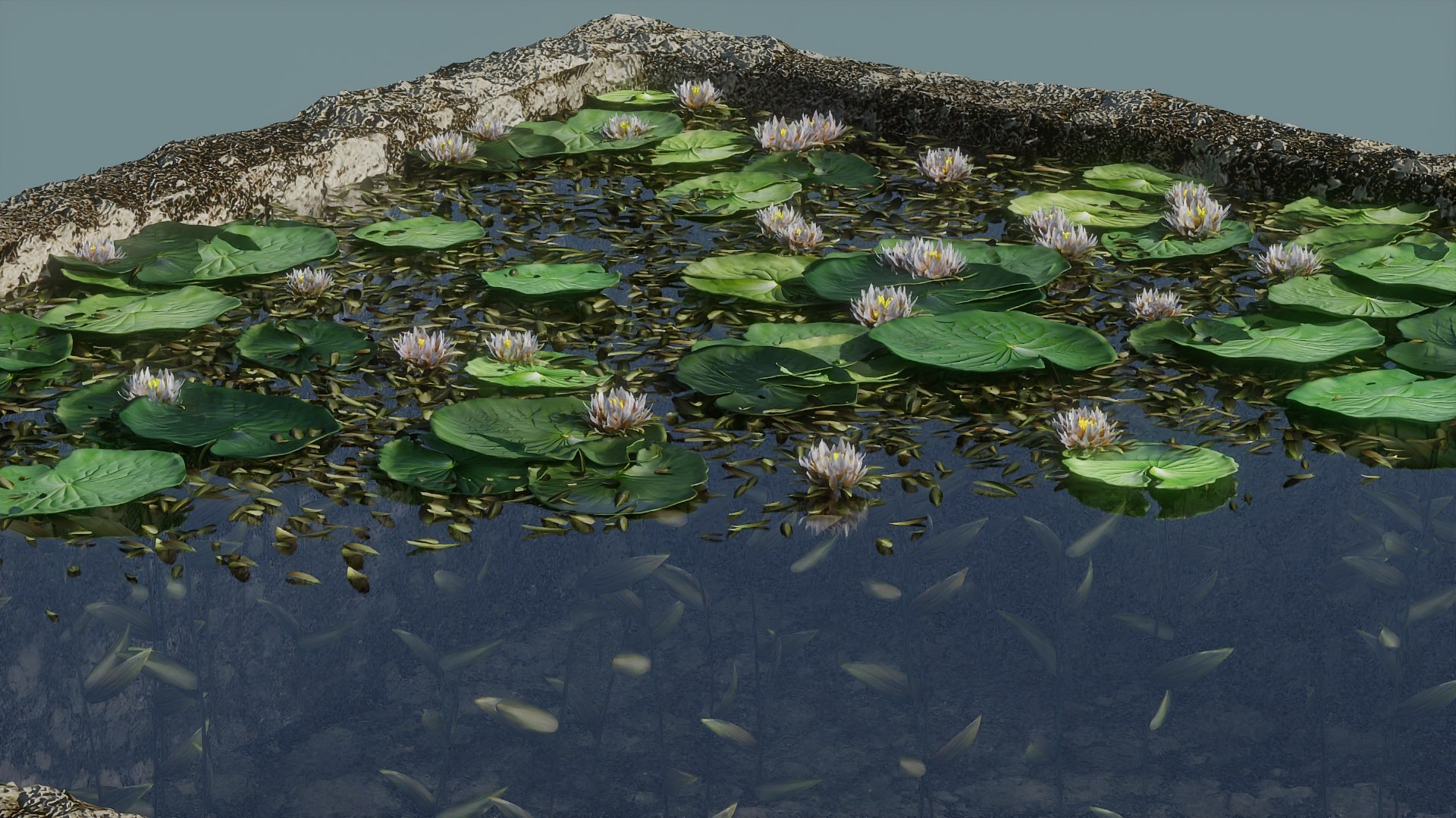 Lily Pad And Flower Particles - Complete System 3D - TurboSquid 2203913