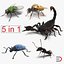 Insects Beetle Ant Honey Bee 3ds