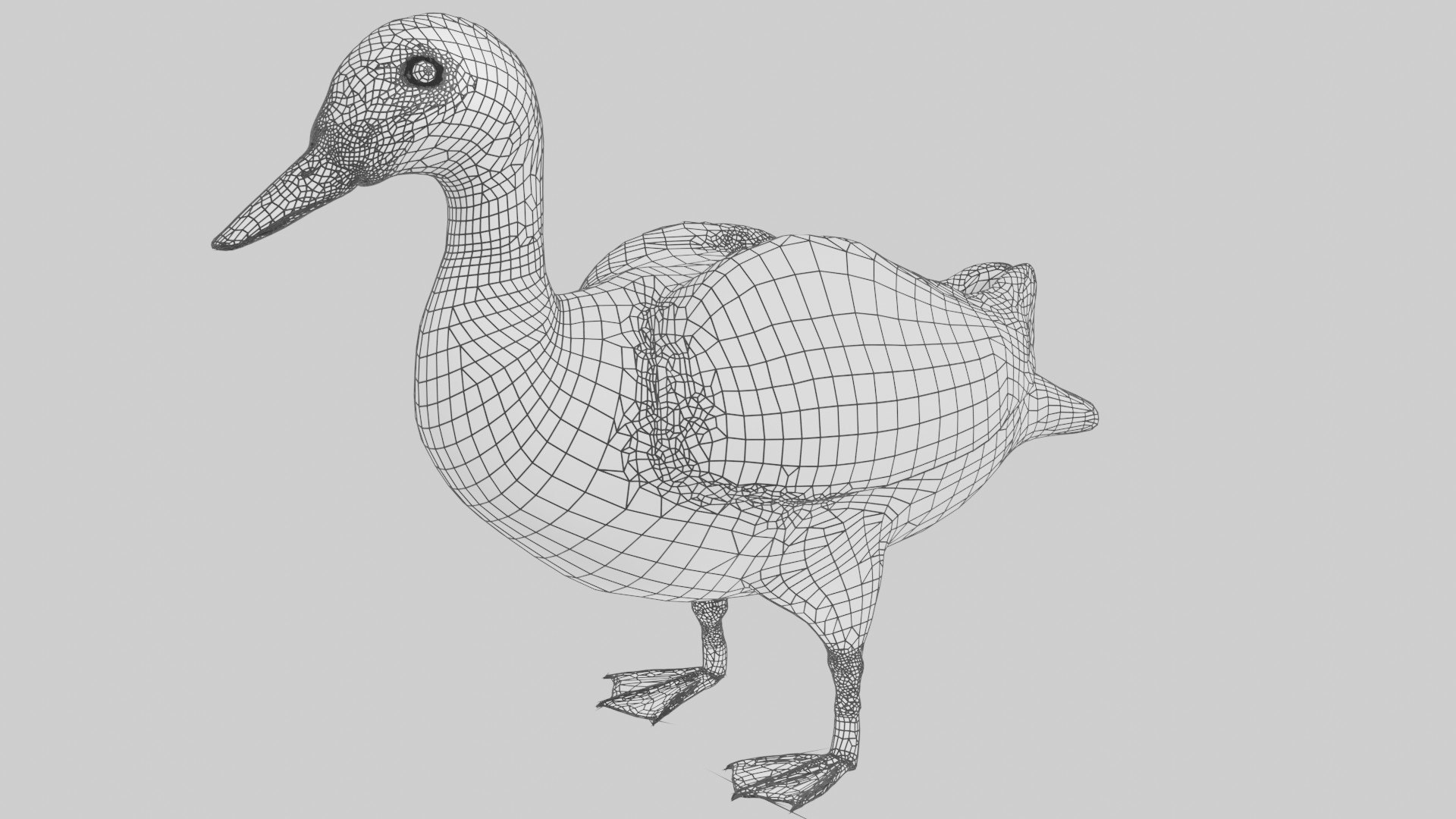 3D mallard duck rigged - TurboSquid 1657253