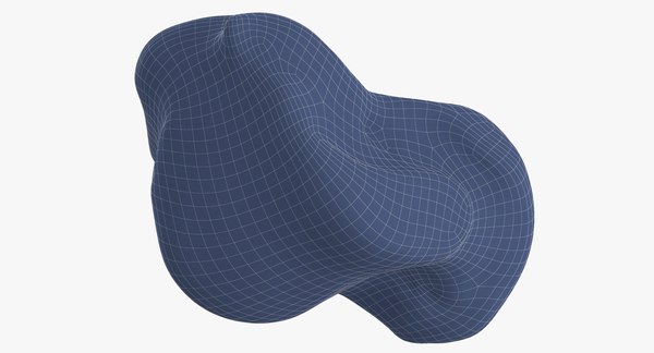 3D real talus bone 01 - TurboSquid 1662405