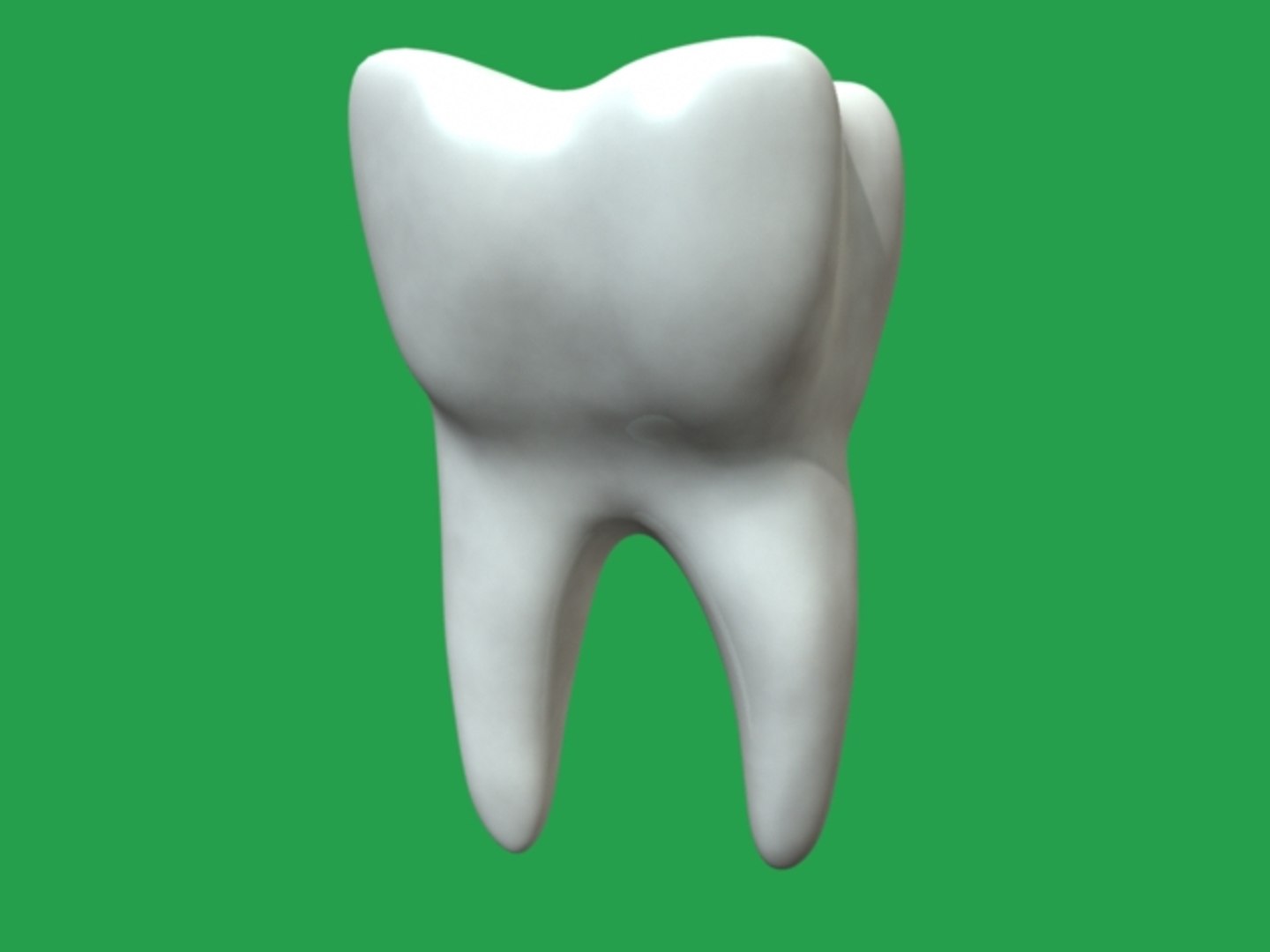 Tooth Dental 3d Obj