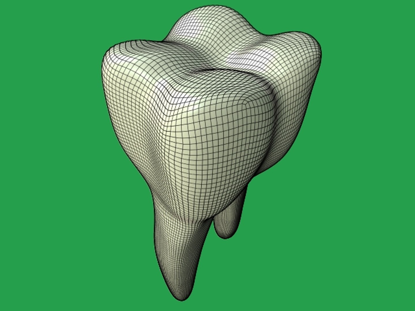 Tooth Dental 3d Obj