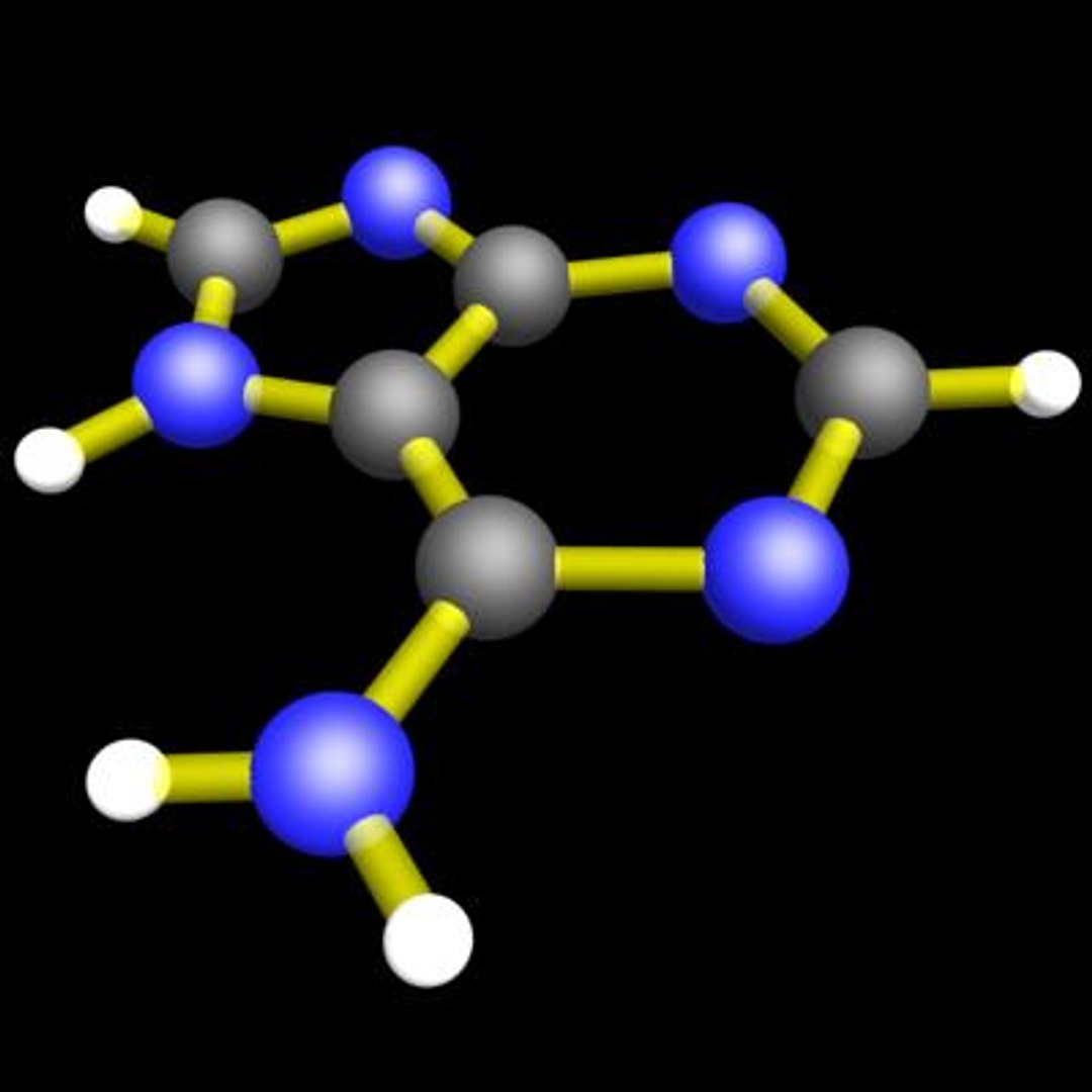 3d Model Amino Acid Adenine Molecular