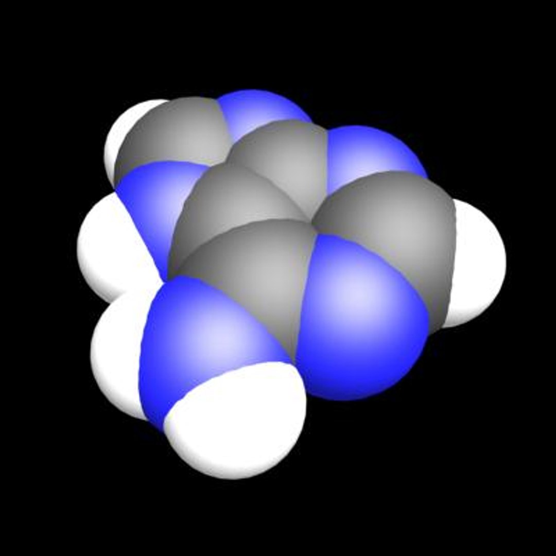 3d Model Amino Acid Adenine Molecular
