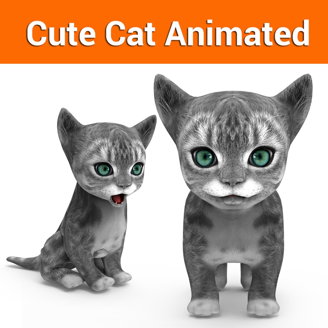 Cute cat animation 3D model - TurboSquid 1217543