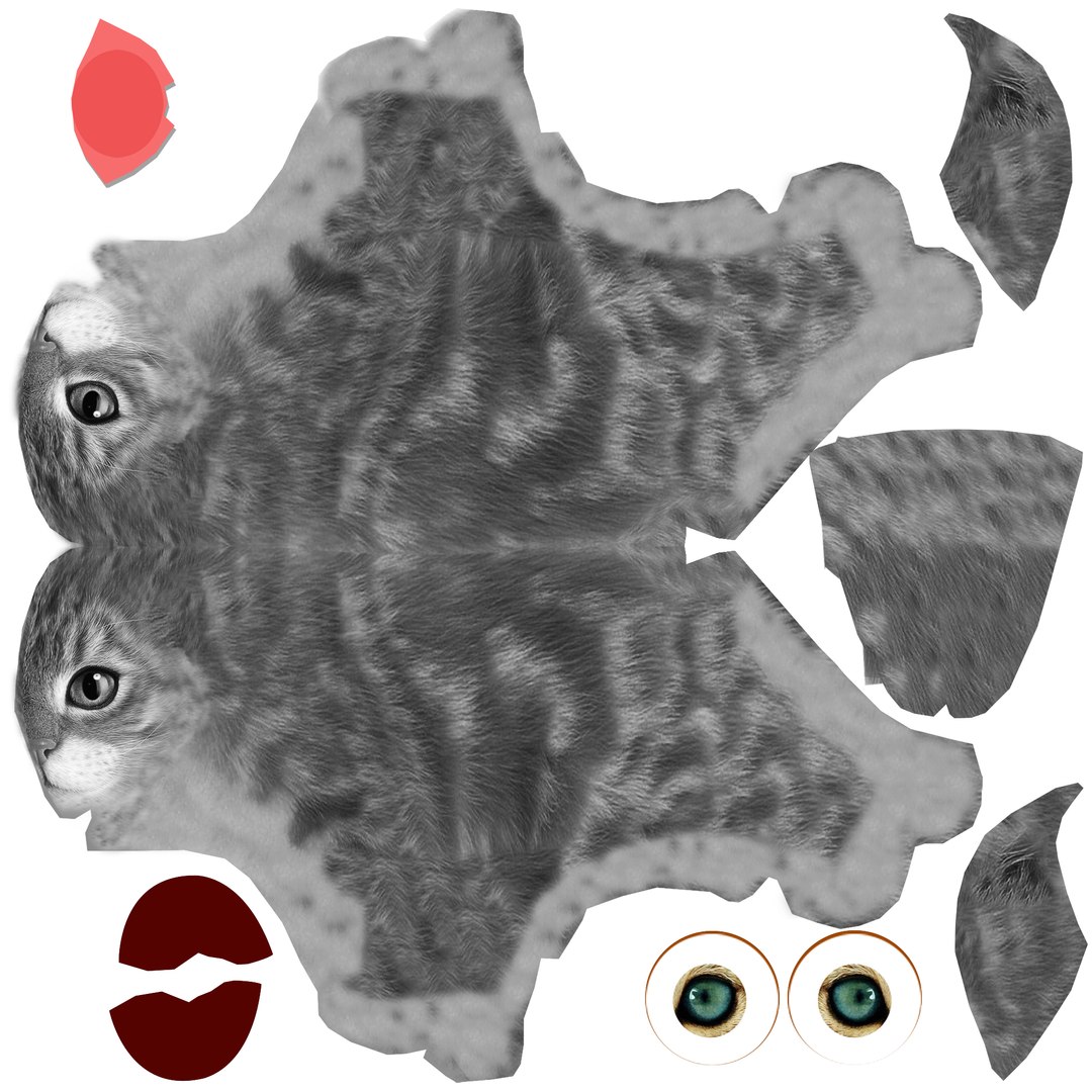 Cute Cat Animation 3D Model - TurboSquid 1217543