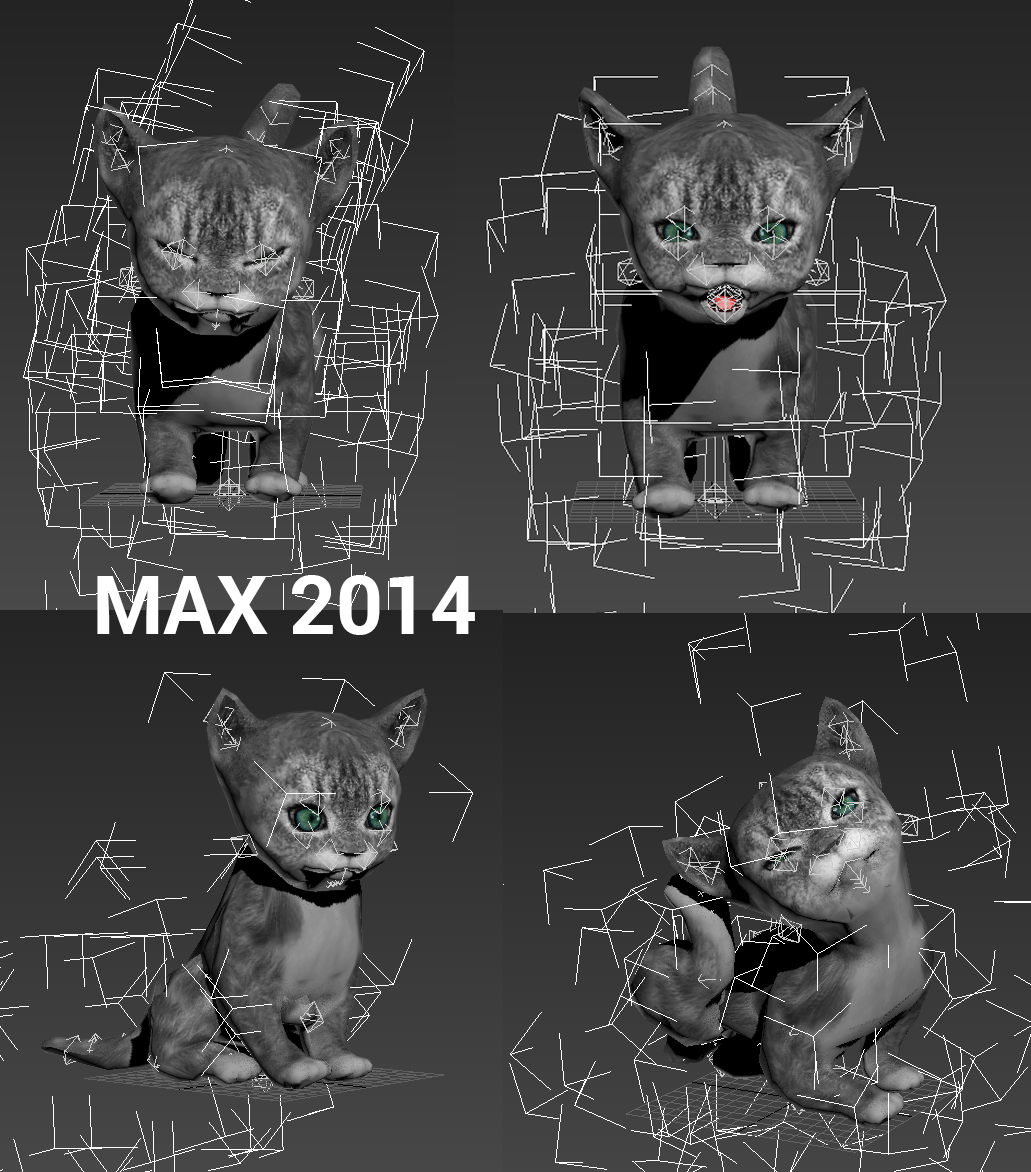 Cute cat animation 3D model - TurboSquid 1217543