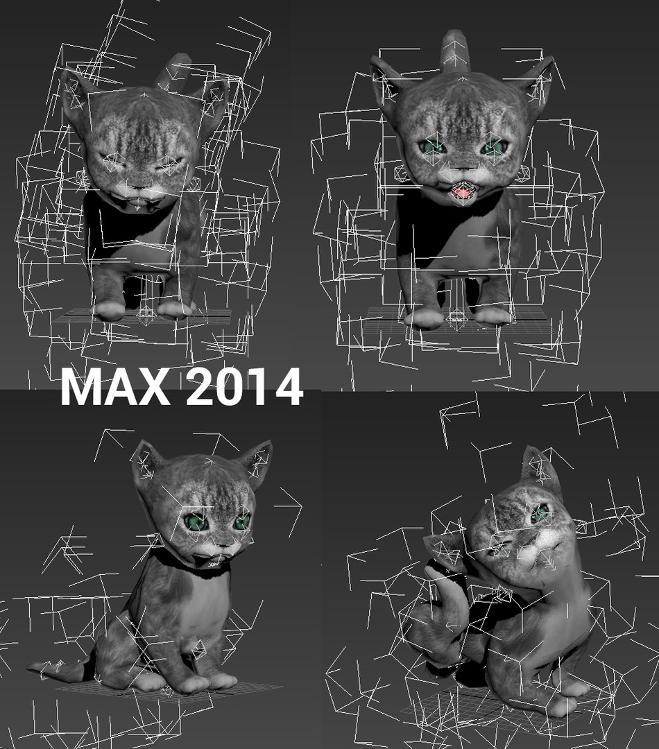 Cute Cat Animation 3D Model - TurboSquid 1217543