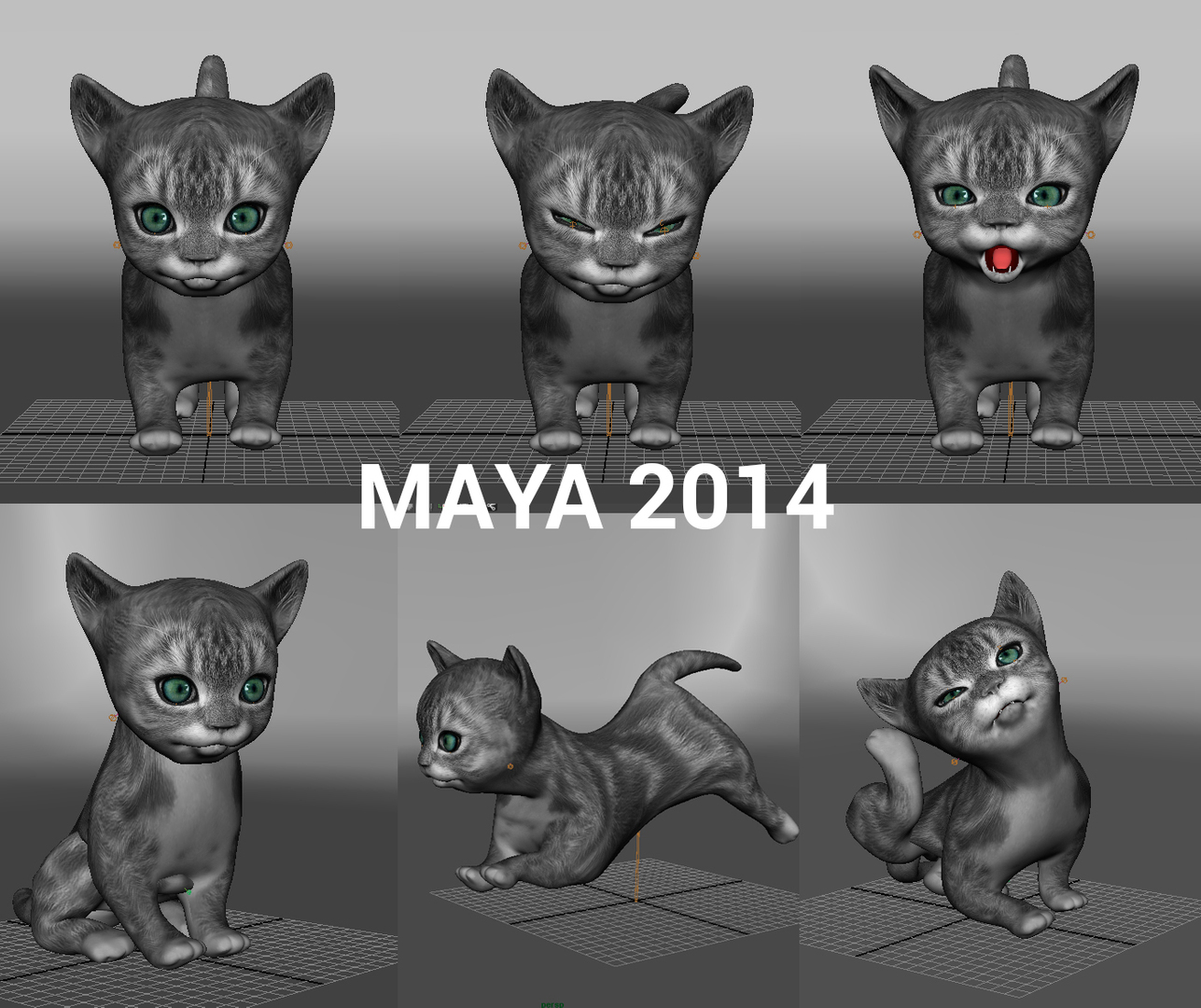 Cute cat animation 3D model - TurboSquid 1217543
