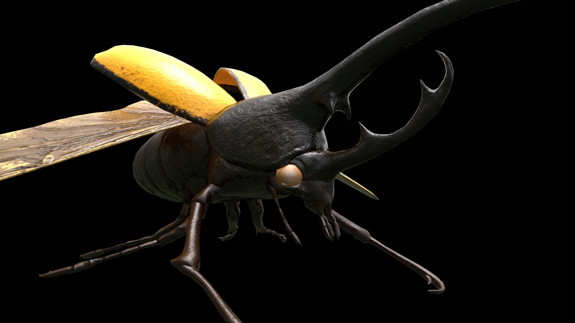 Beetle Hercules 3D Model - TurboSquid 1678402