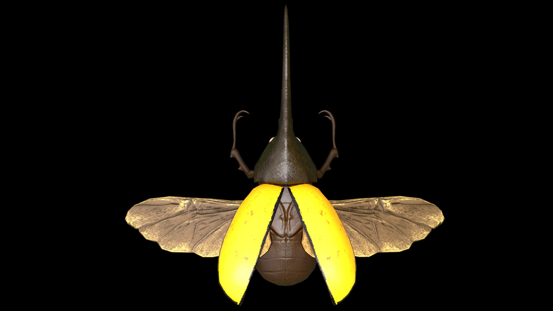 Beetle Hercules 3D Model - TurboSquid 1678402