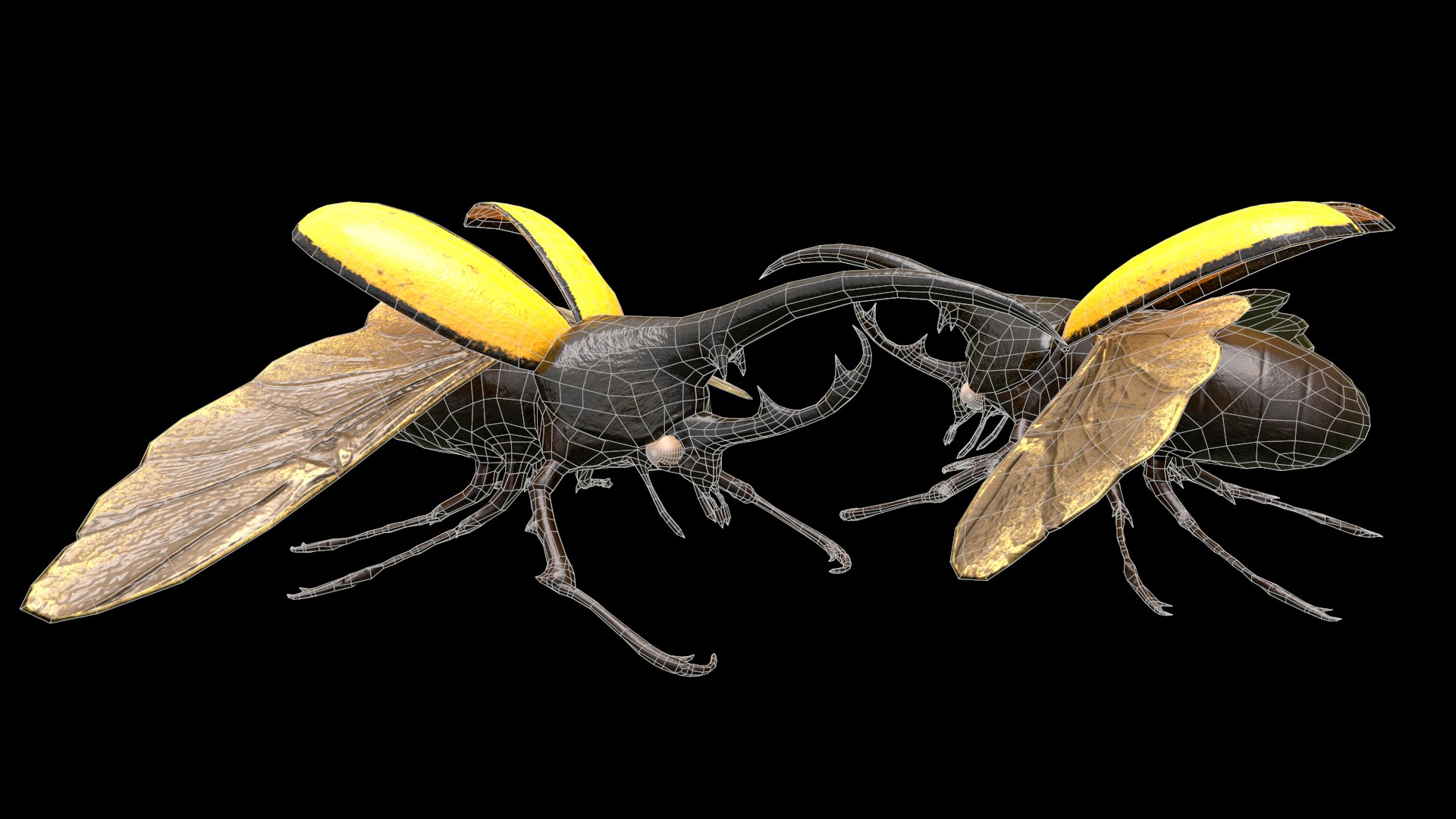 Beetle Hercules 3D Model - TurboSquid 1678402