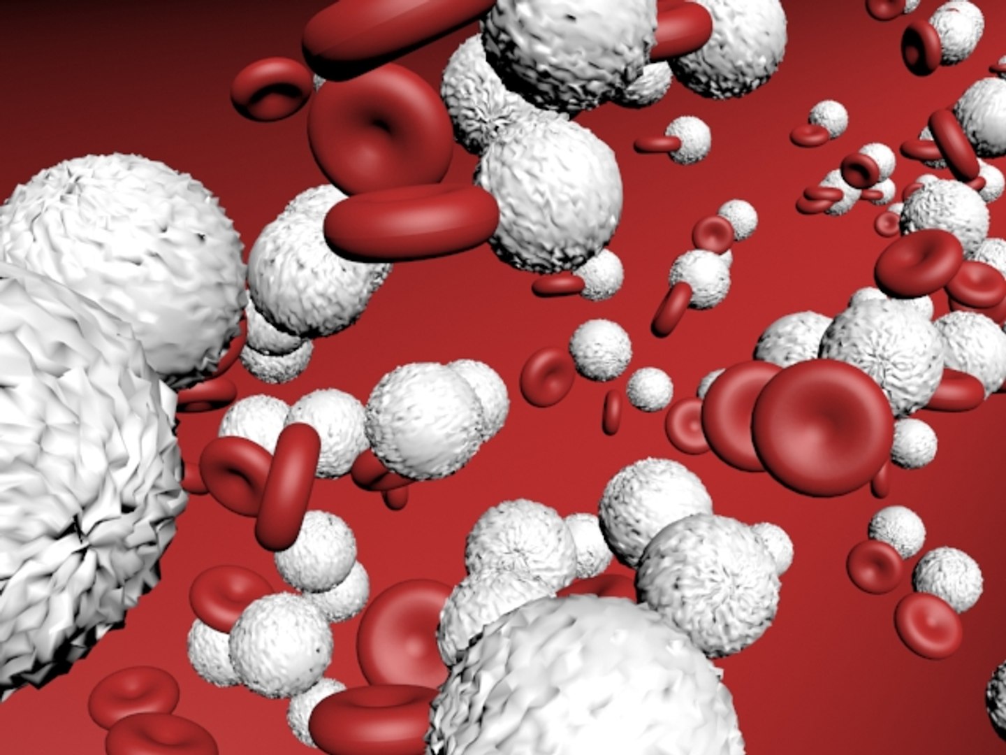 3d Model Of Blood Stream