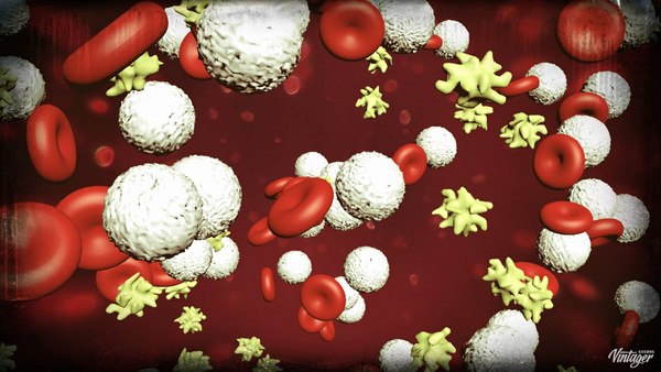 3D Platelets Models | TurboSquid