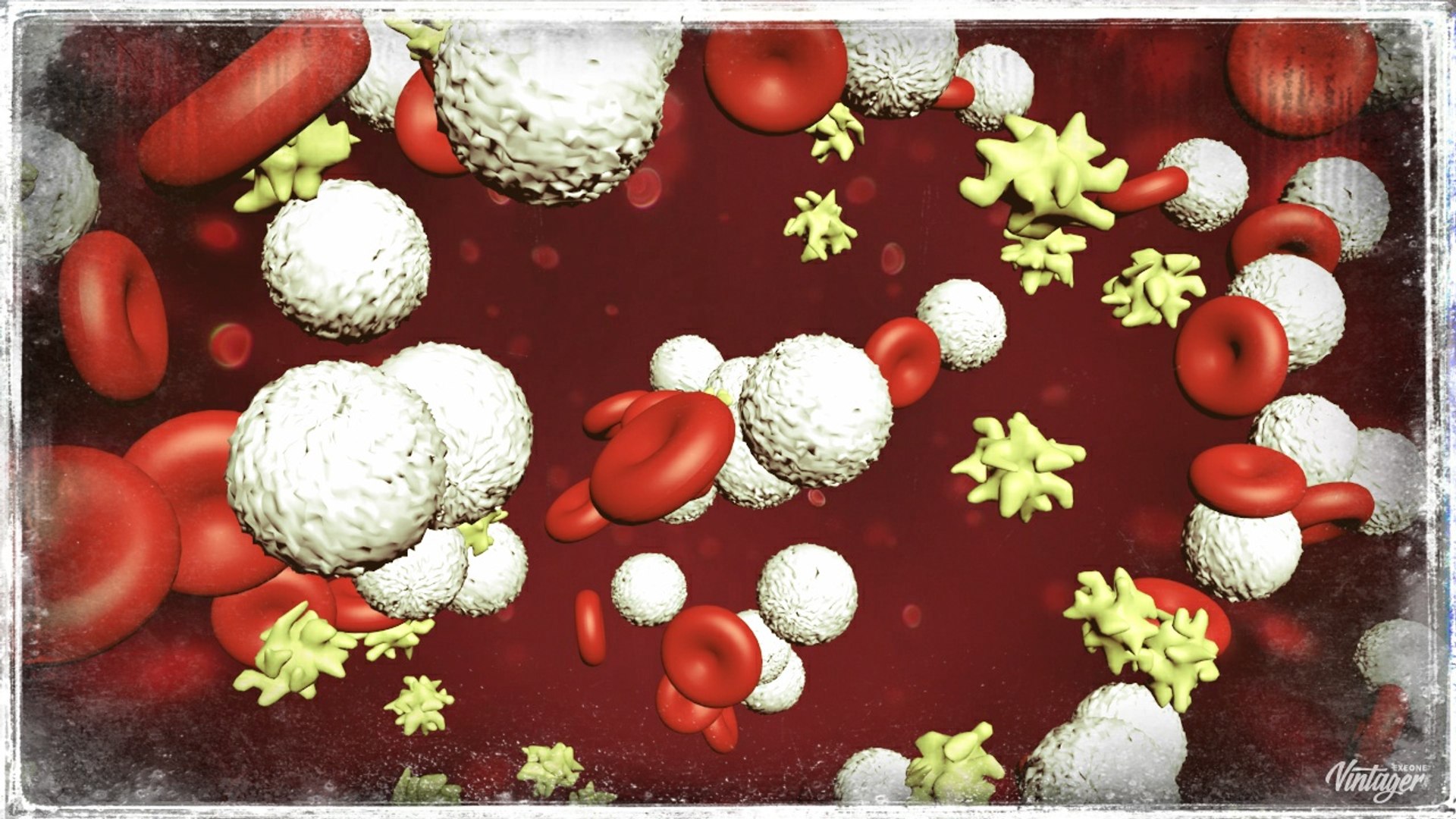 3d Model Of Blood Stream
