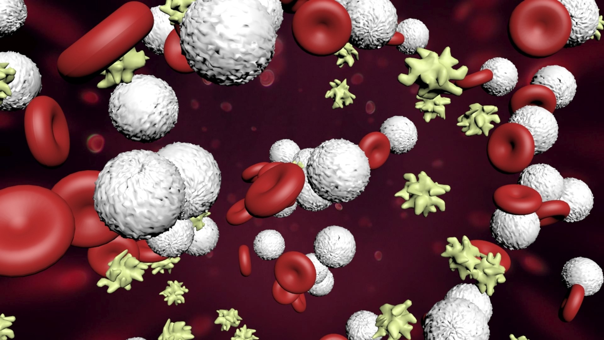 3d Model Of Blood Stream