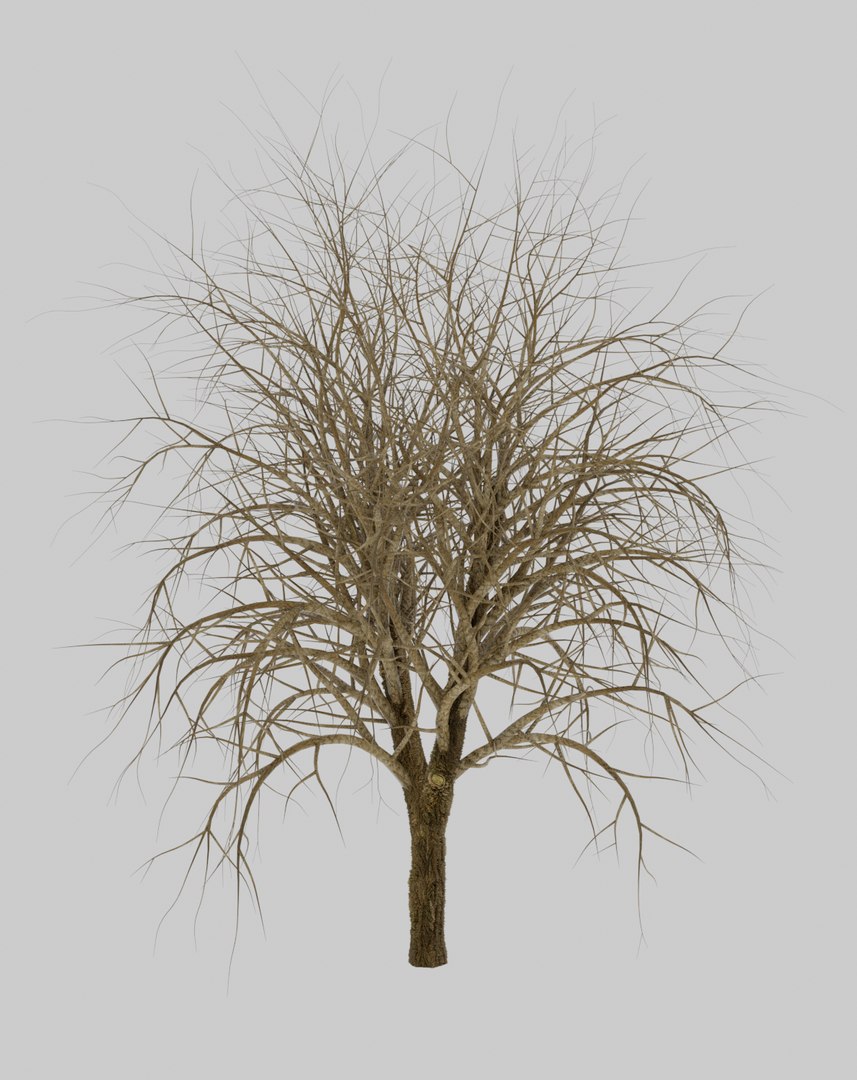 3D model Tree Collection - Blender Sapling - TurboSquid 1722158