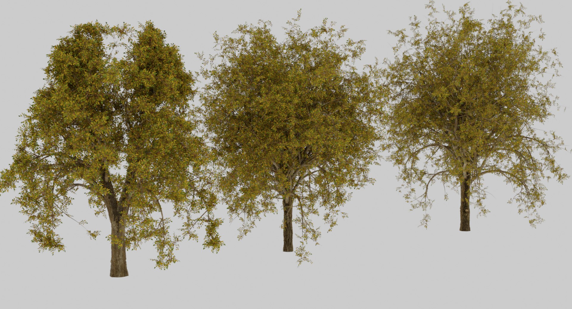 3D model Tree Collection - Blender Sapling - TurboSquid 1722158