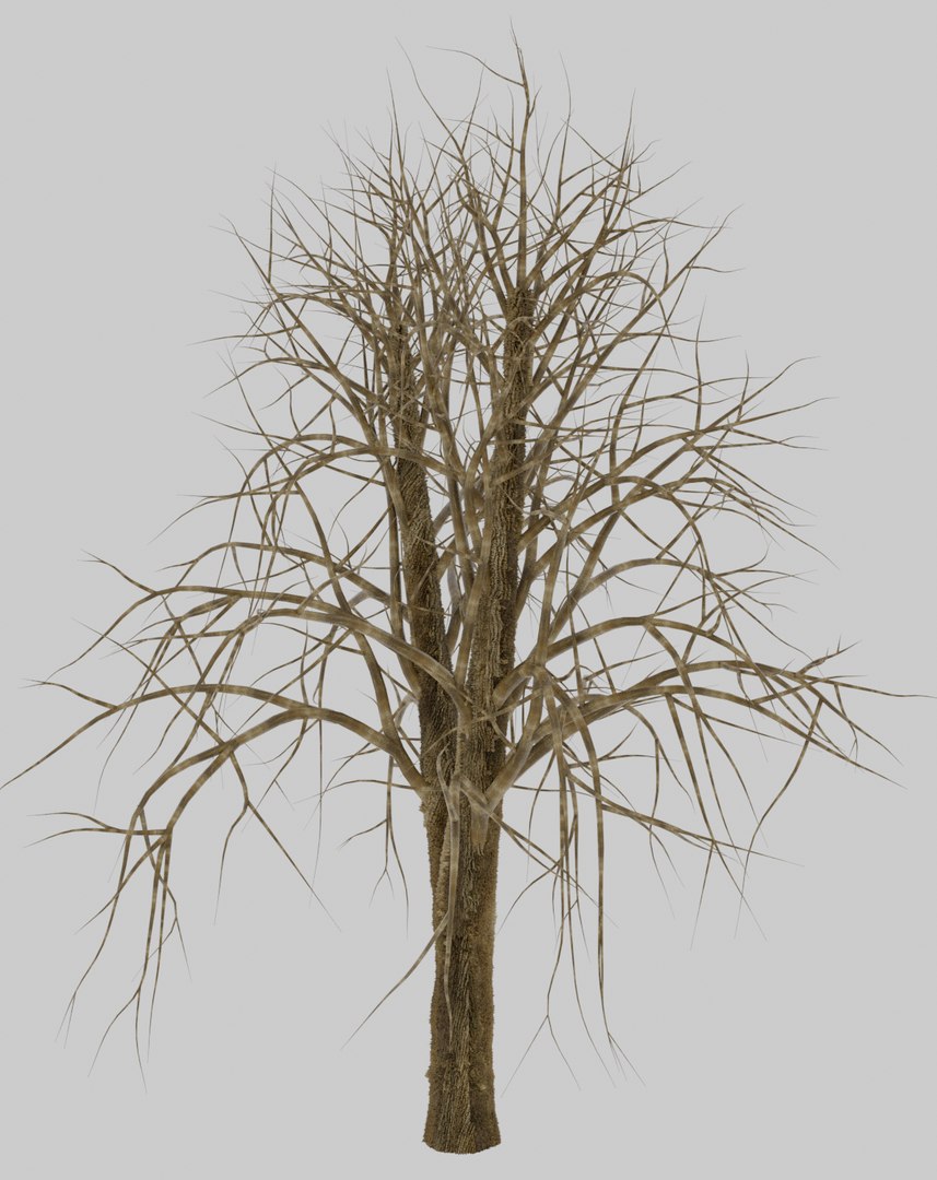 3D model Tree Collection - Blender Sapling - TurboSquid 1722158