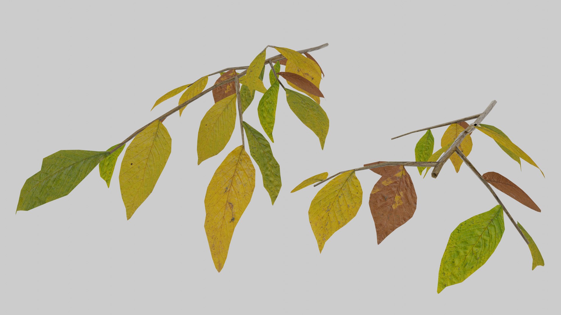 3D model Tree Collection - Blender Sapling - TurboSquid 1722158