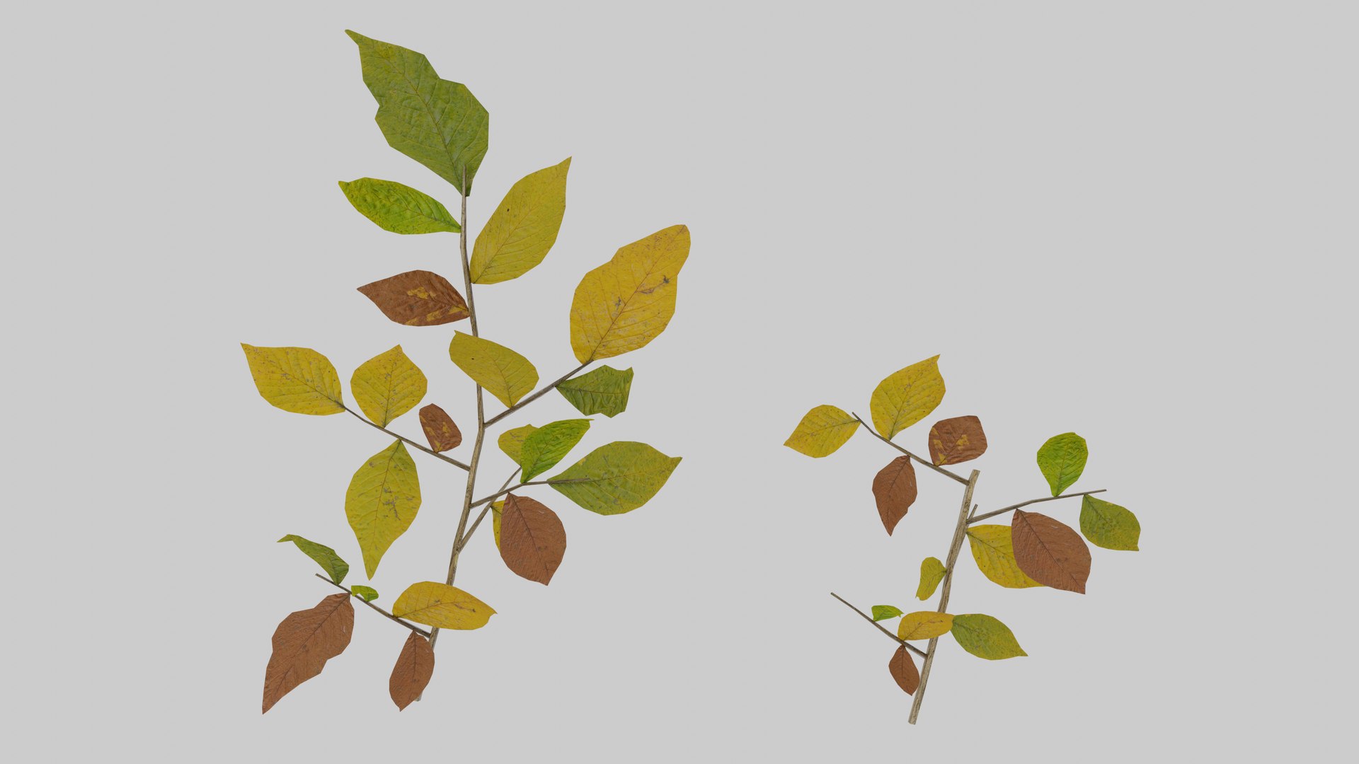3D model Tree Collection - Blender Sapling - TurboSquid 1722158