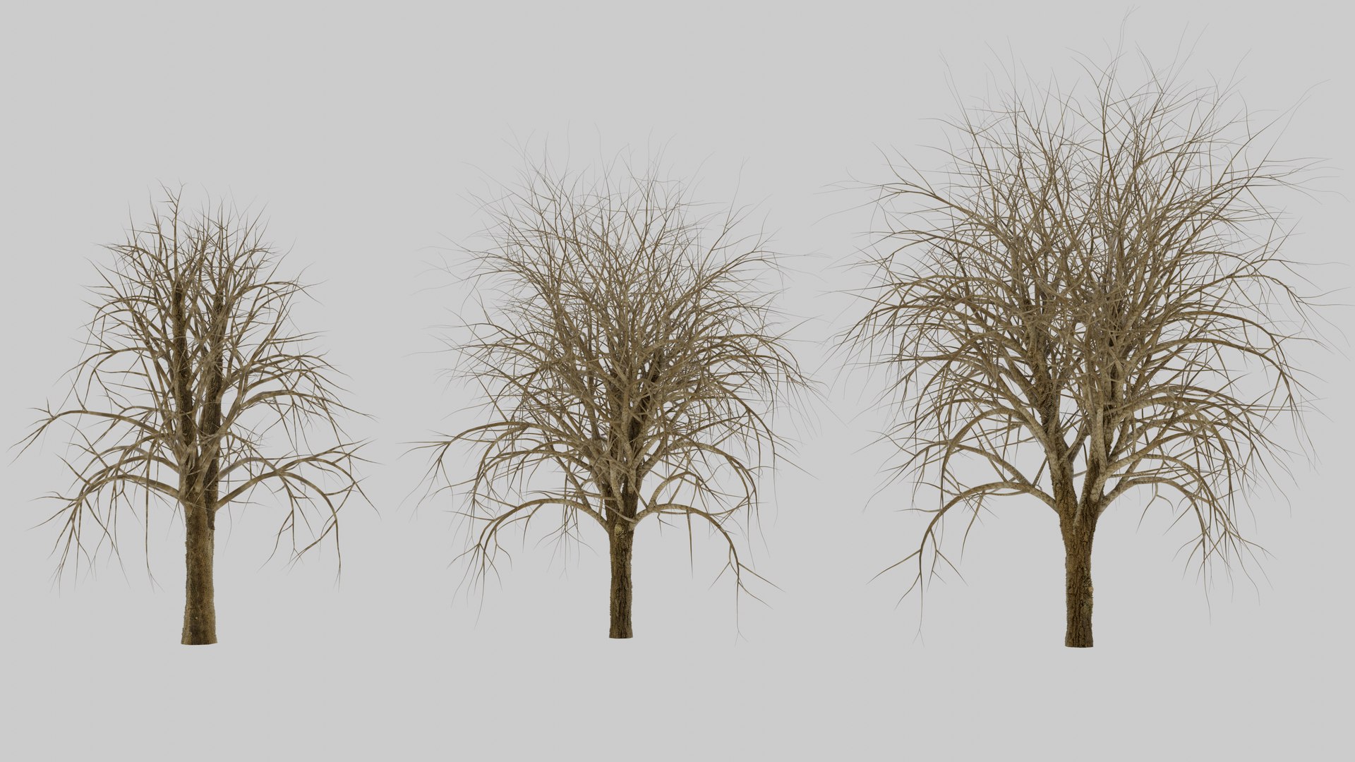 3D model Tree Collection - Blender Sapling - TurboSquid 1722158