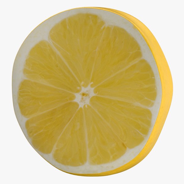 modelo 3d Proposición 25 Rodaja circular de limón - TurboSquid 2238927