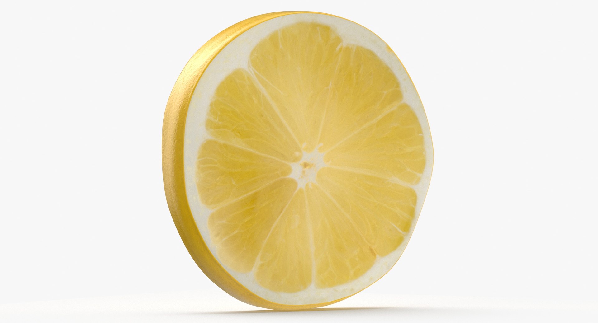 Prop 25 Lemon Circular Slice 3D Model - TurboSquid 2238927