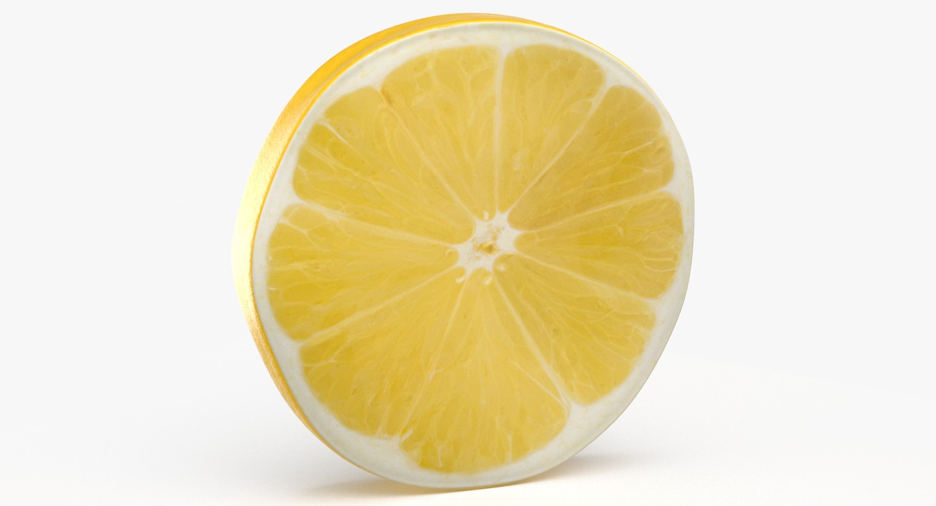 Prop 25 Lemon Circular Slice 3D Model - TurboSquid 2238927