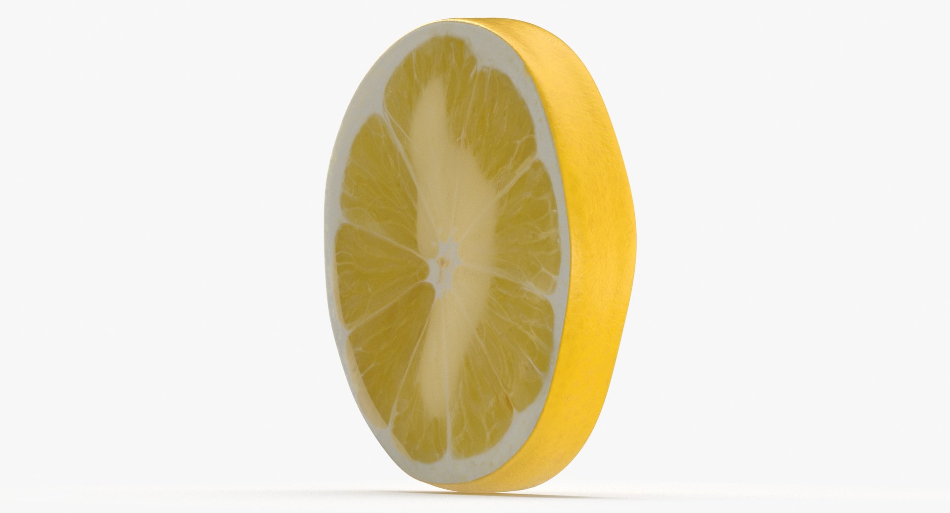 Prop 25 Lemon Circular Slice 3D Model - TurboSquid 2238927