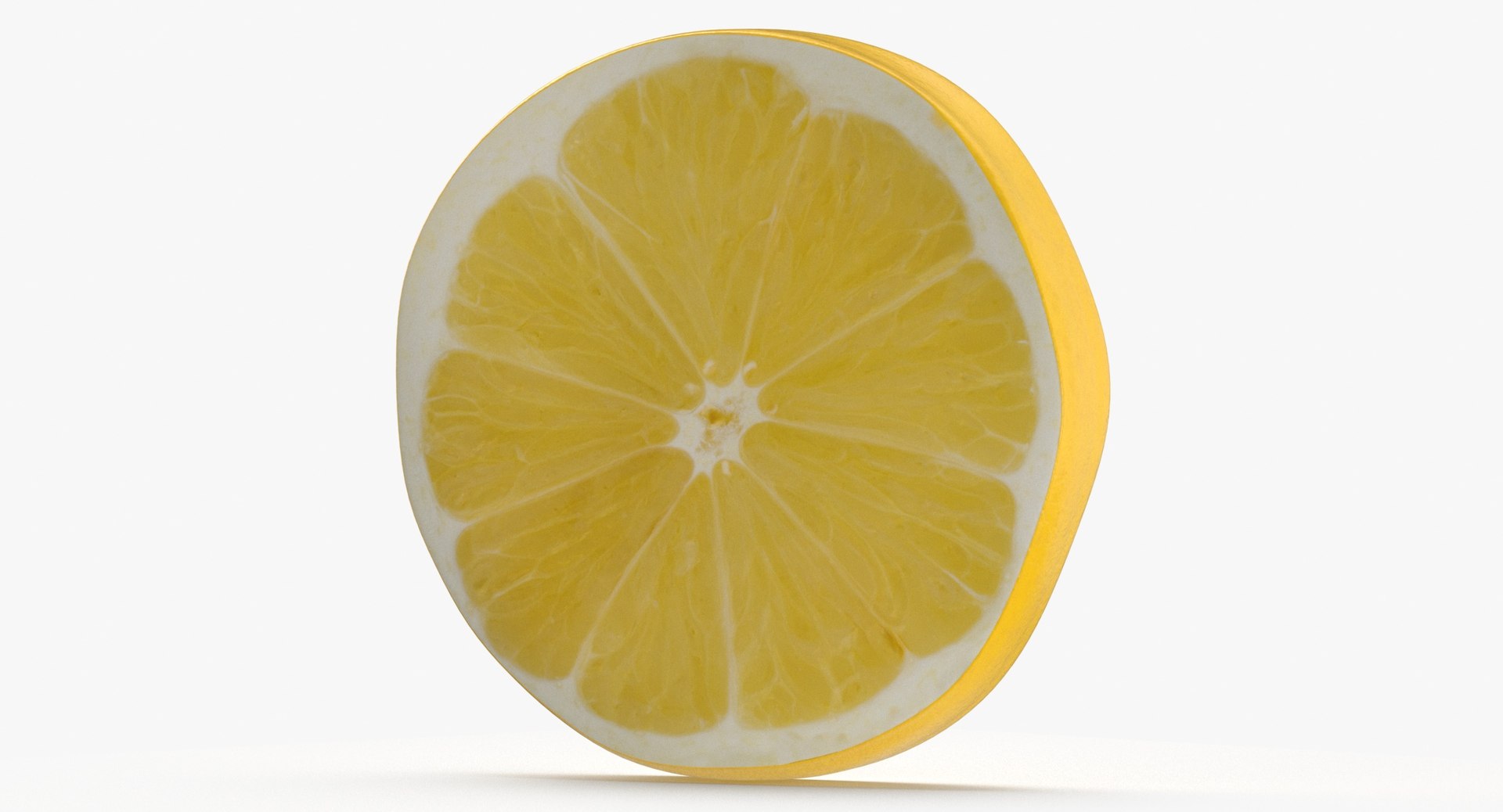 Prop 25 Lemon Circular Slice 3D Model - TurboSquid 2238927