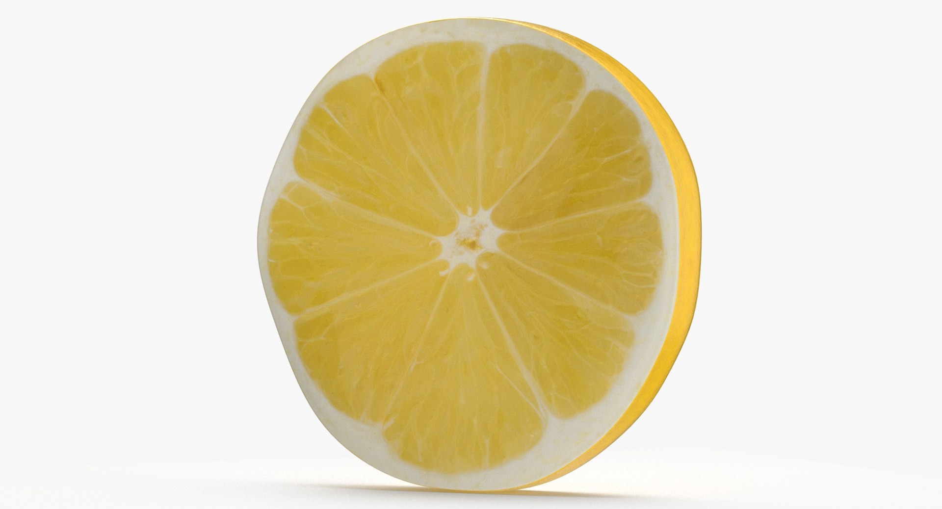 Prop 25 Lemon Circular Slice 3D Model - TurboSquid 2238927