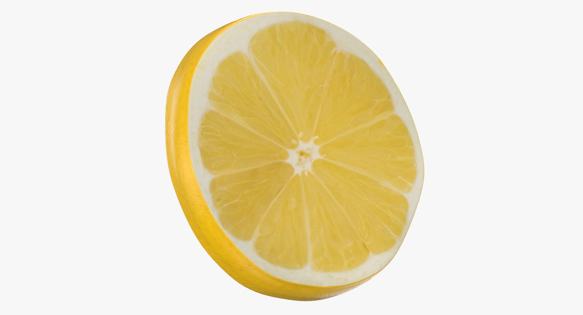 Prop 25 Lemon Circular Slice 3D Model - TurboSquid 2238927
