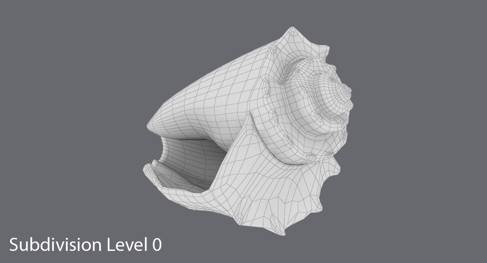 Conch-shells---shell-03 3D - TurboSquid 1155463