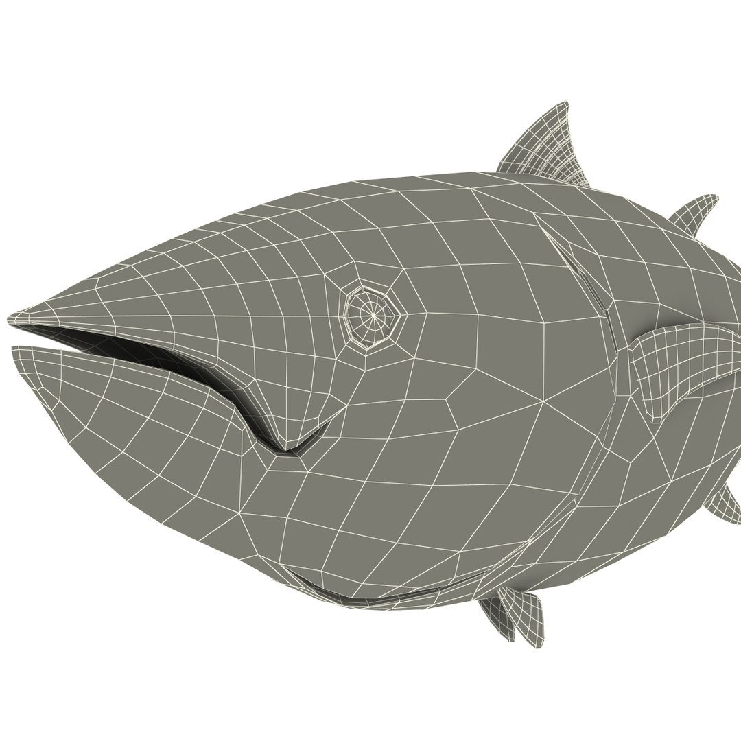 Tuna Modelled 3d Model