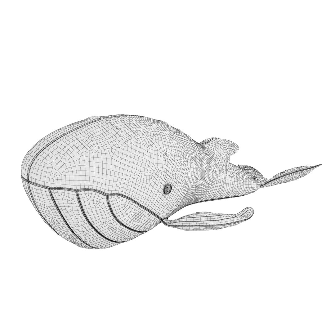3d Model Of Whale