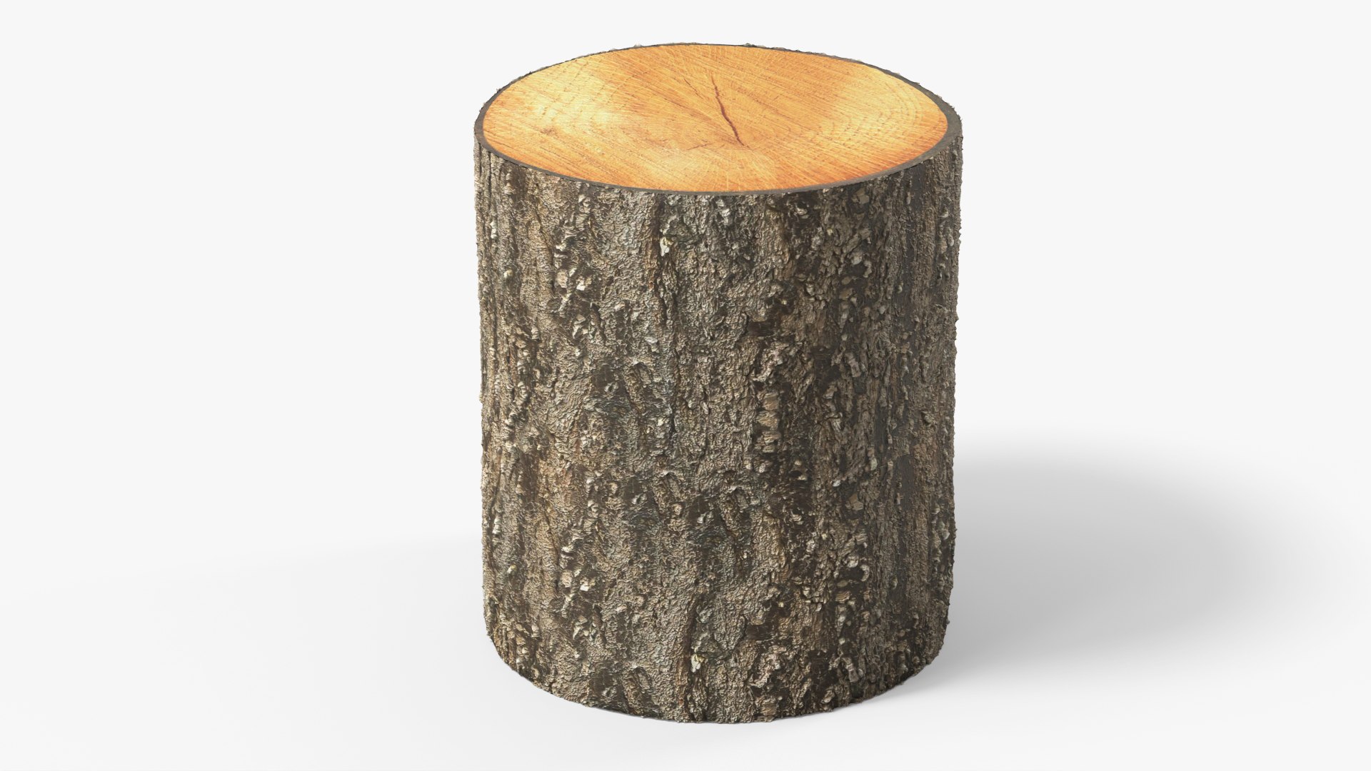 3D Vertical Log Cut With Rough Bark Model - TurboSquid 2436858