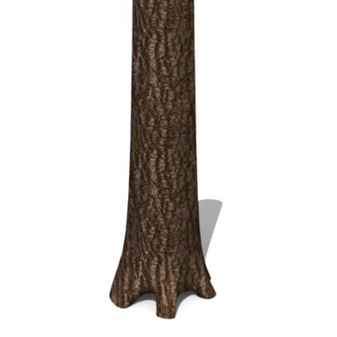 3d Tree Trunk Model