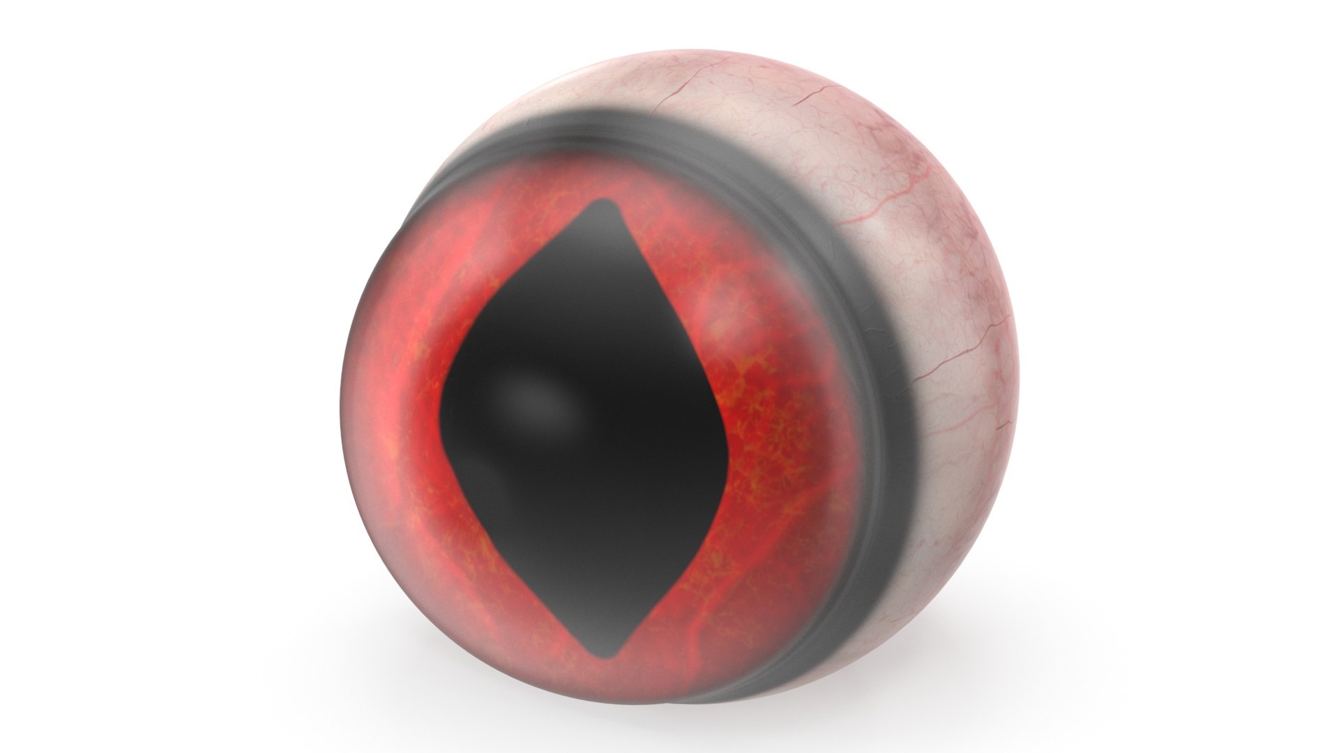 Realistic Animal Eyes Set Model - TurboSquid 2195687