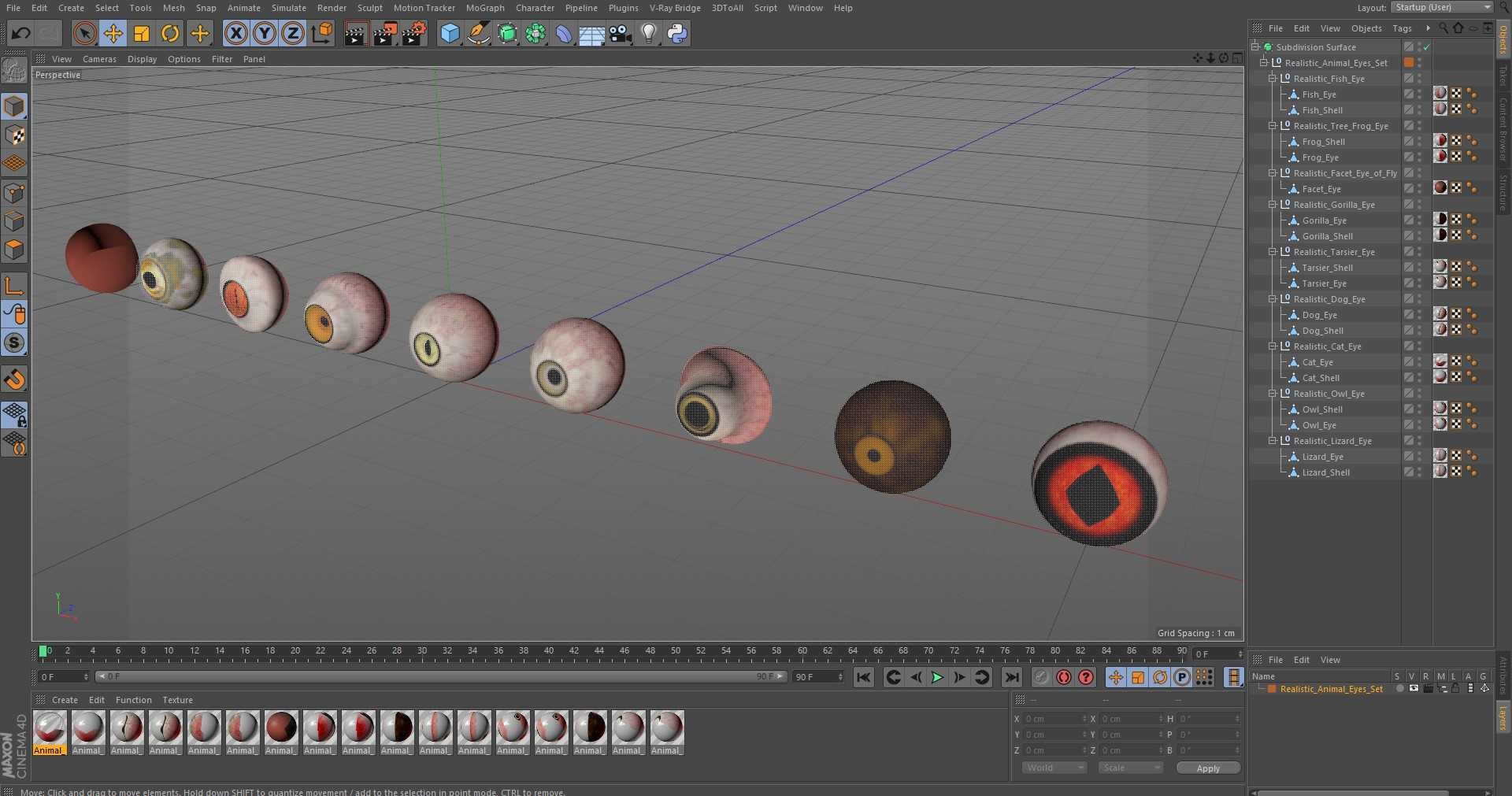 Realistic Animal Eyes Set Model - TurboSquid 2195687