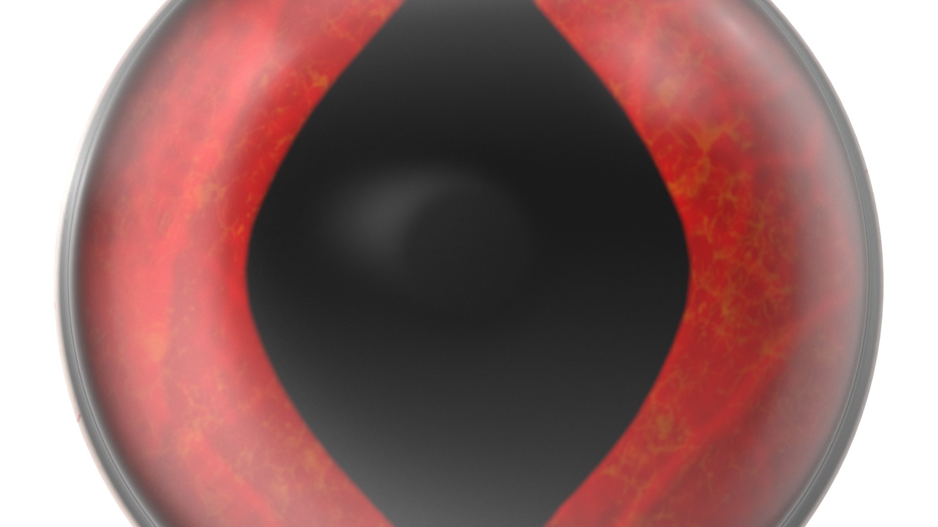 Realistic Animal Eyes Set Model - TurboSquid 2195687