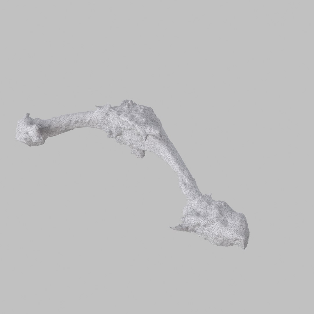 Chicken Leg Bone 3d Model