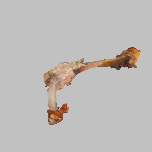 3d chicken leg bone model