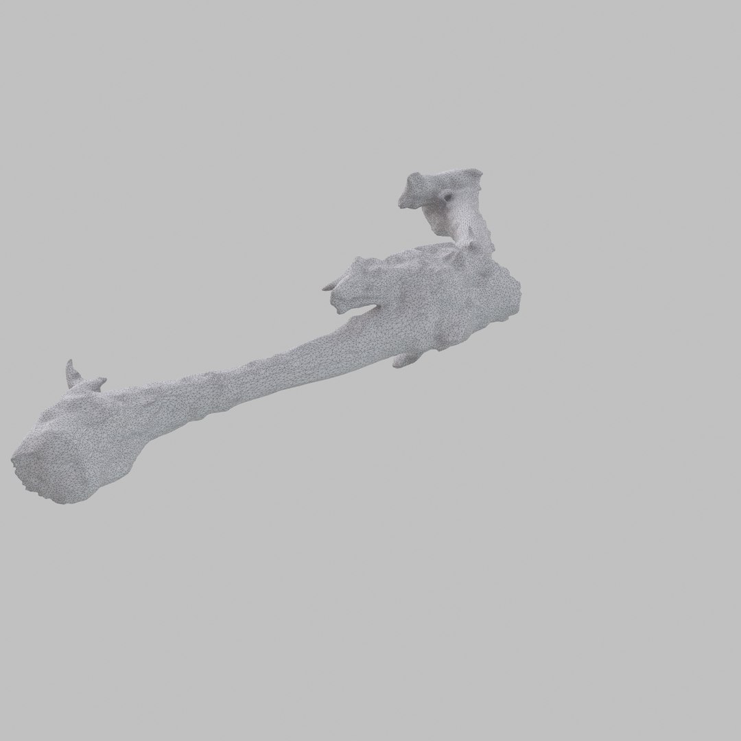 Chicken Leg Bone 3d Model
